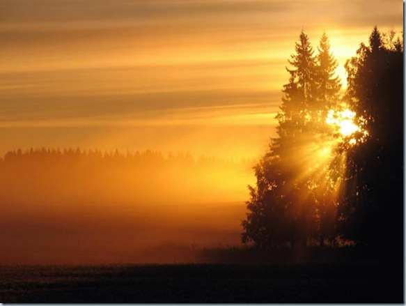 40 Gambar Matahari Terbit yang indah - Gambar Gambar Lucu